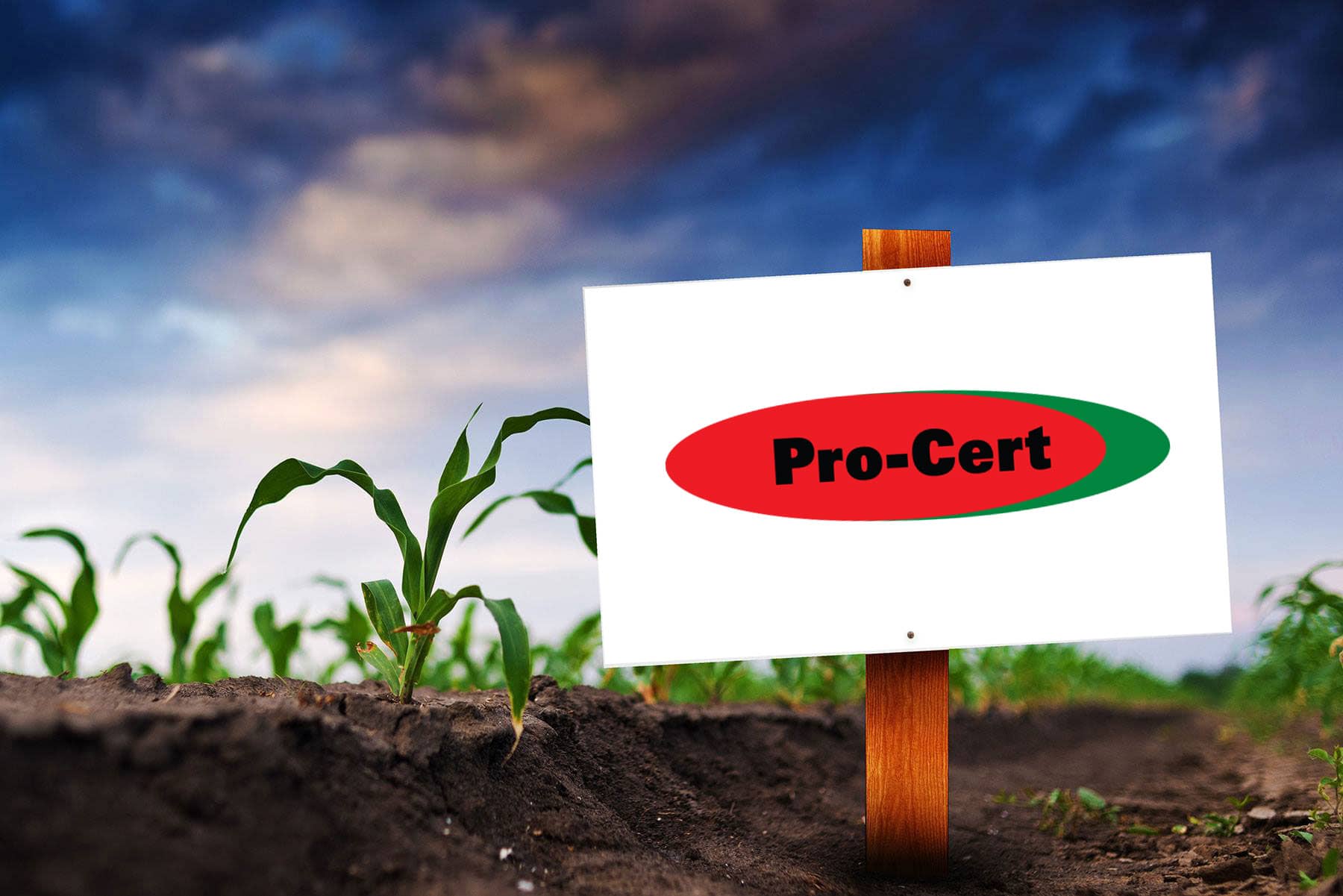 Home - Pro-Cert Certifications - North America's premiere certification ...